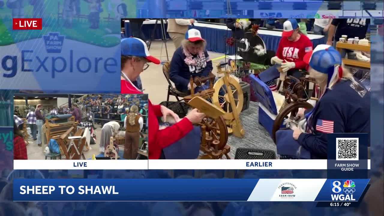 Winners announced for sheep-to-shawl contest at the PA Farm Show