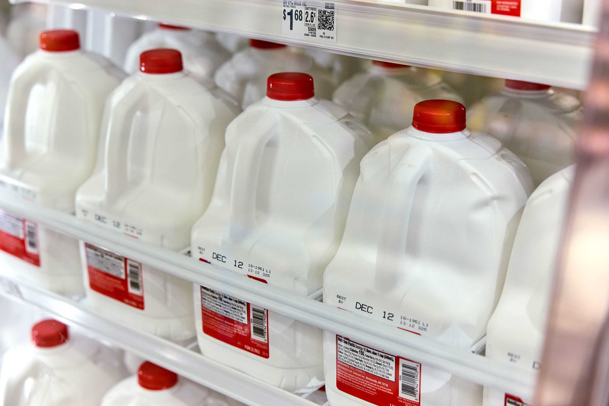 Whole milk now allowed in school lunches as Trump signs bill reversing ...