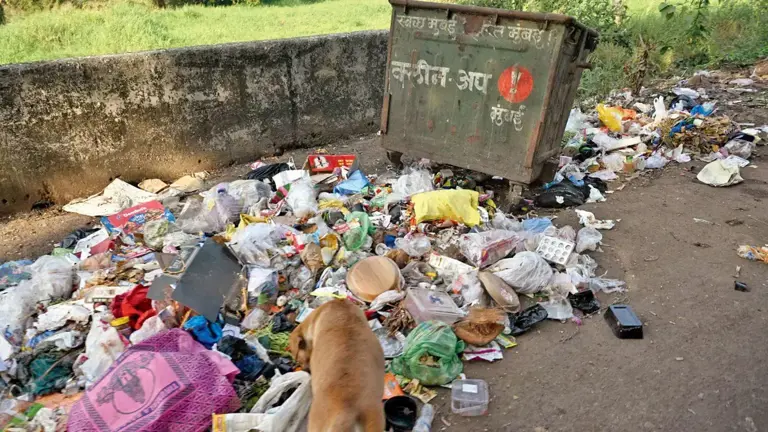 Efficient waste management is not only about aesthetics