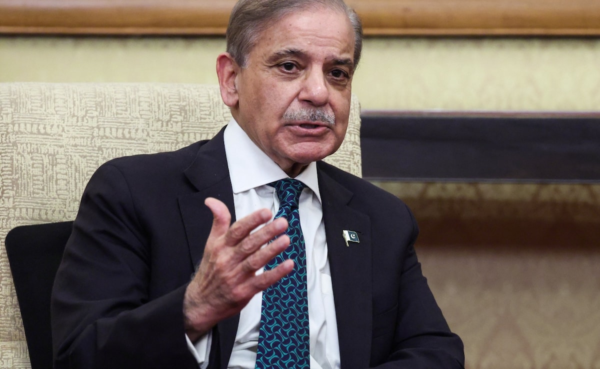 Shehbaz Sharif says several countries in talks with Pak for fighter jets