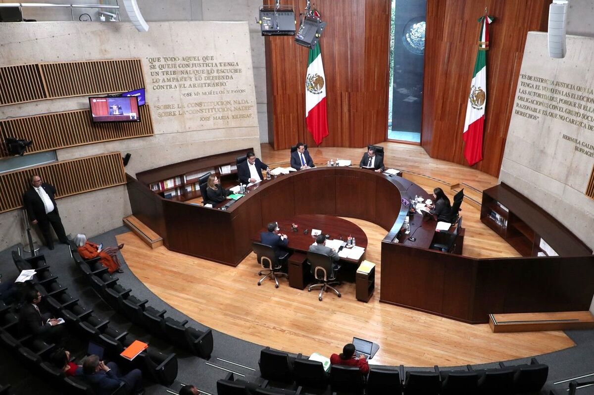 TEPJF sentencia por violencia política de género a ‘defensor’ de ...