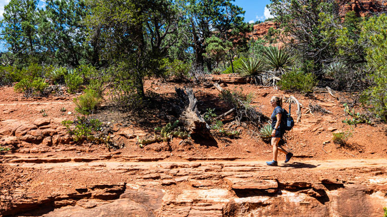 Avoid Grand Canyon crowds at this national forest between Phoenix and ...