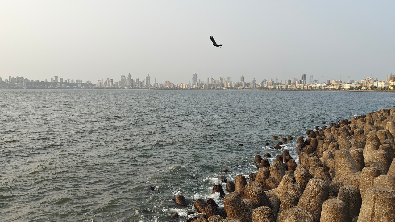 Mumbai wakes up to dark clouds, but will it rain? Check what IMD ...
