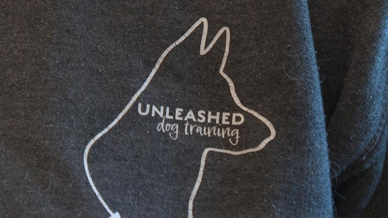 Local shelters and trainers are reminding dog owners of National Train ...