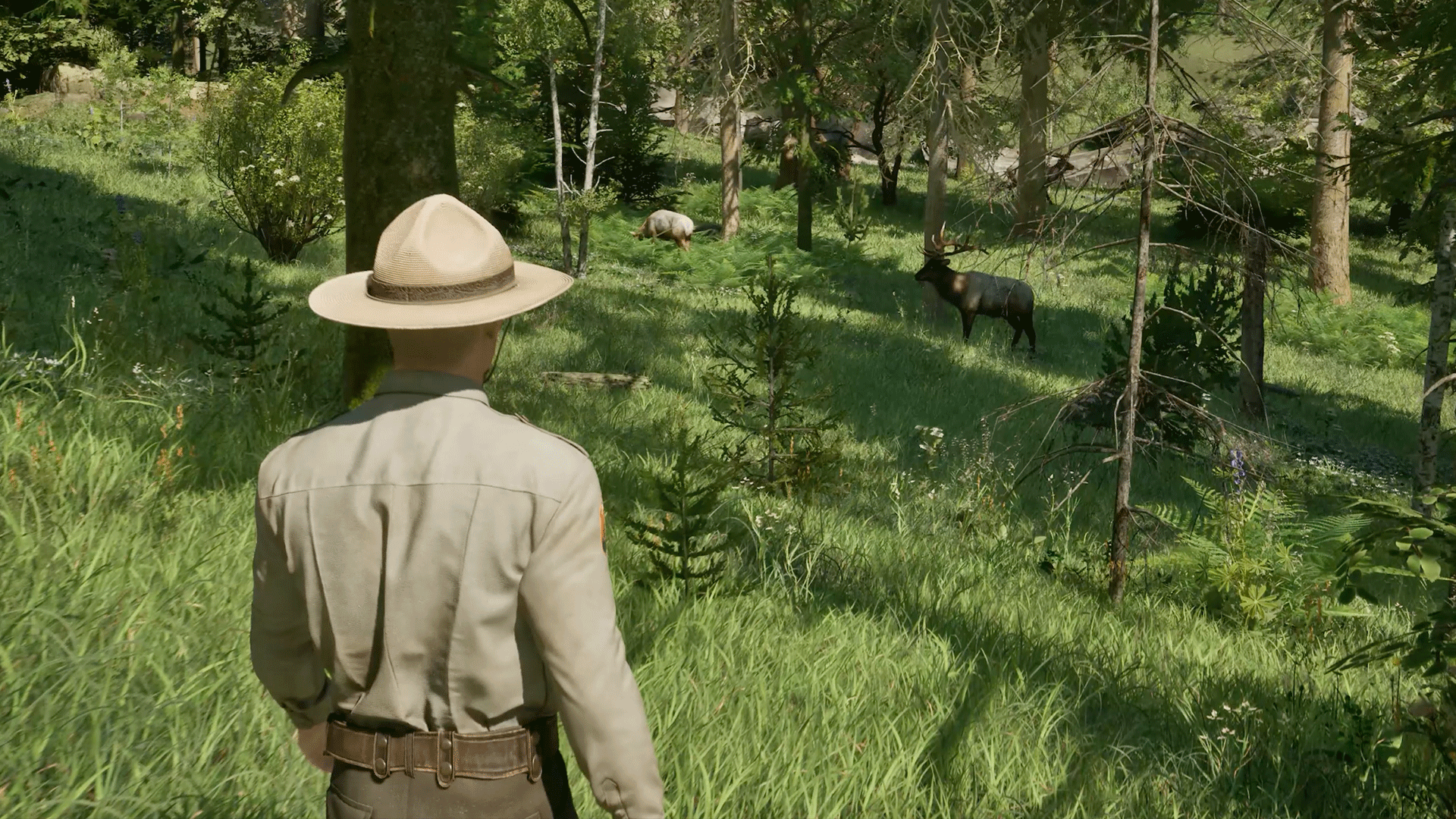 Ranger's path: National Park simulator - official early access release ...