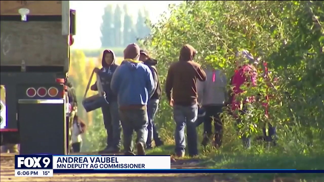 ICE operations: MN farmers warn of economic impact