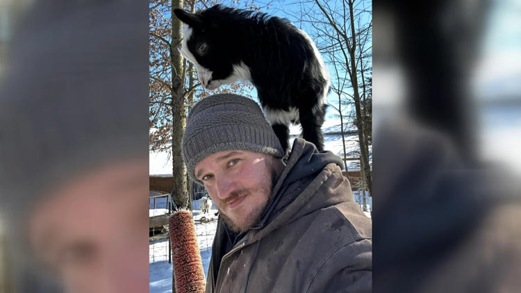 'These are my kids,' fire destroys Temperance man’s goat barn, kills ...