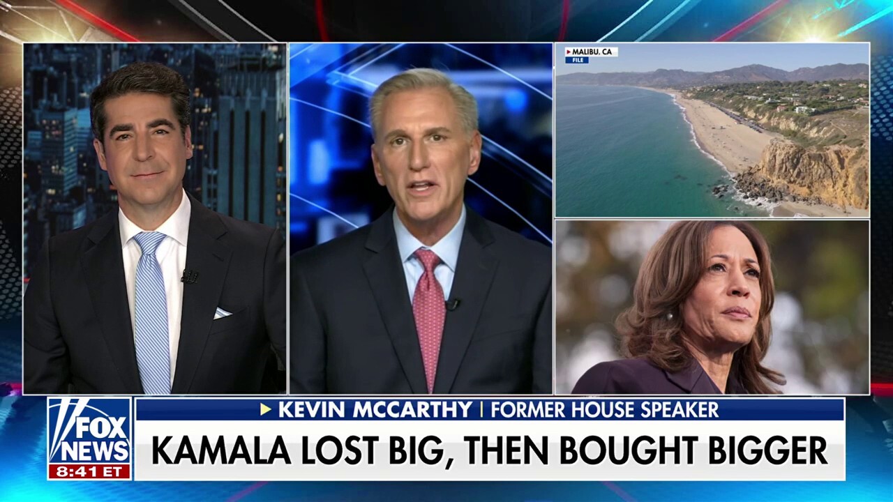 Kevin McCarthy: This says a lot about Kamala Harris' character