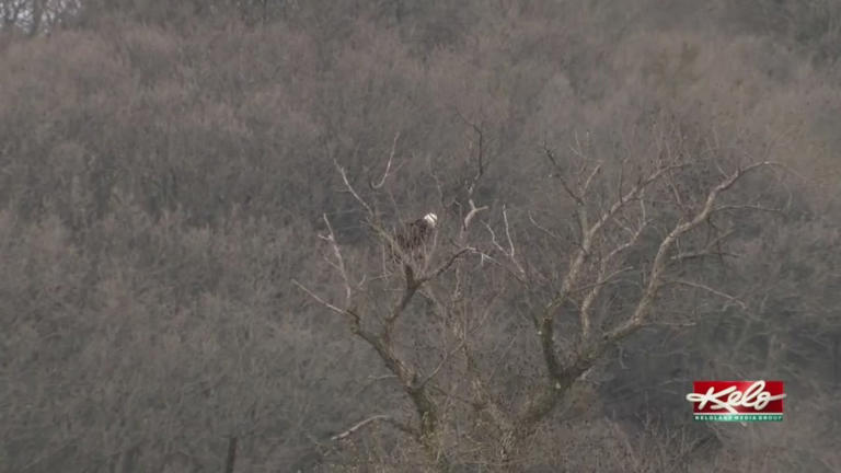 What do wind alerts mean?