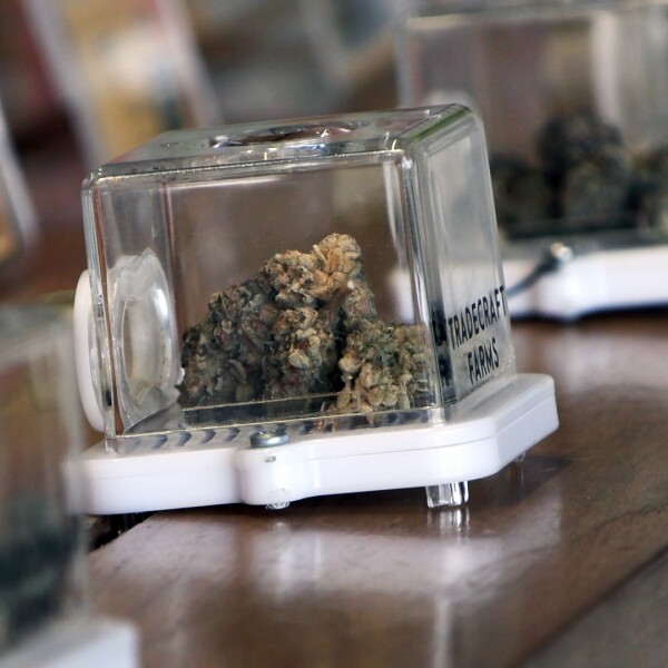 SD County supervisors vote 3-2 for cannabis policy updates