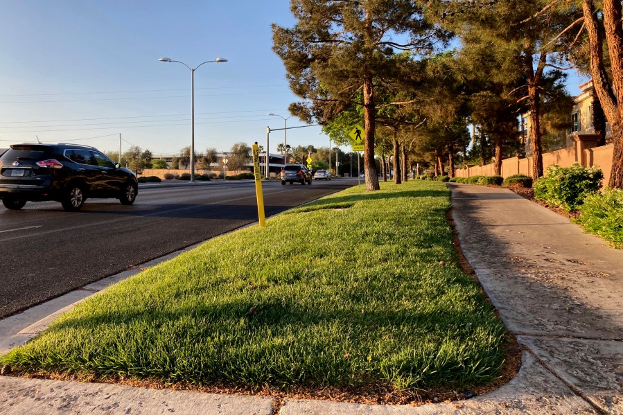 ‘We speak for the trees,’ Las Vegas homeowners file lawsuit against ...