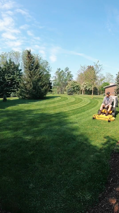 Changing it up - clean lawn lines and fresh mowing patterns