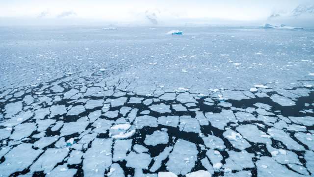 Researchers issue warning on concerning phenomenon discovered in ...