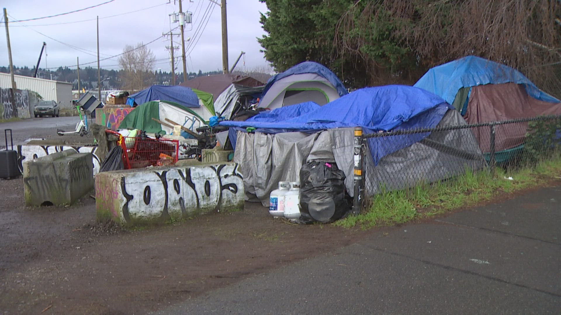 Seattle Mayor Katie Wilson cancels first homeless encampment sweep