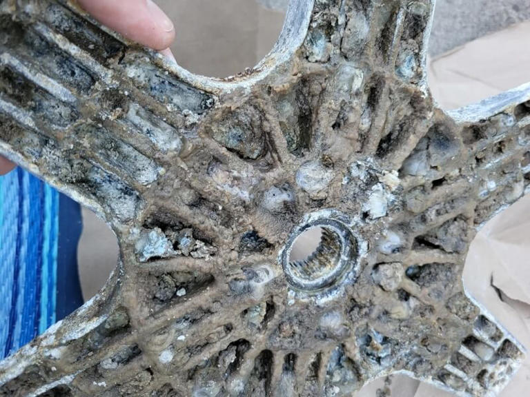 Homeowner cracks open washing machine to discover damaging effects of ...