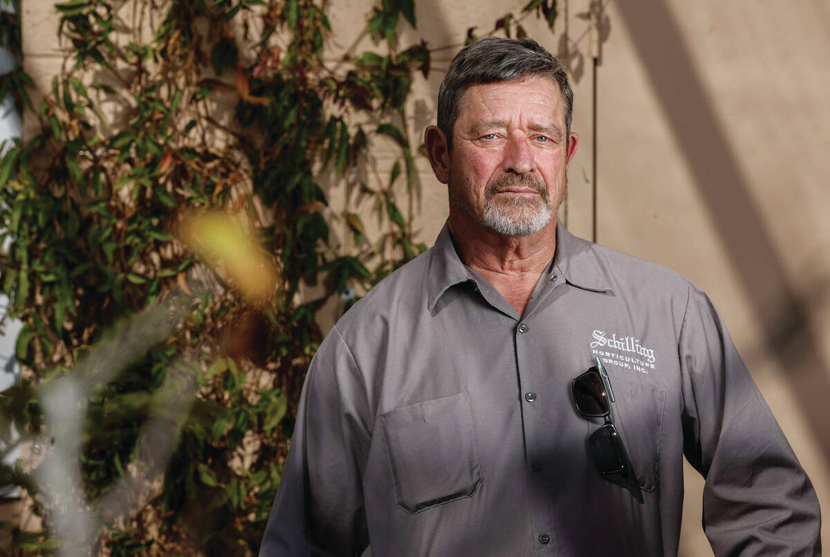 Lawsuit claims ban on 'useless grass' has killed 100K trees in Southern ...