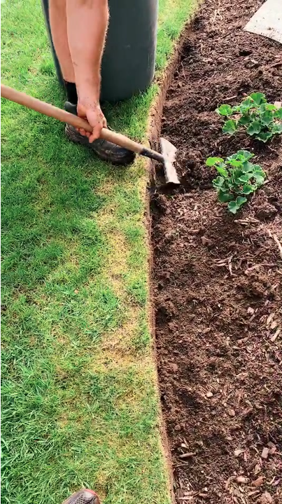 Satisfying lawn care with crisp edges and fresh cuts