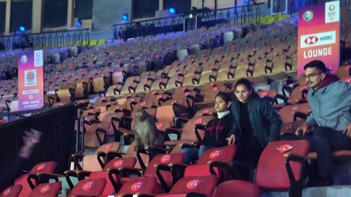 India Open badminton: After pigeon droppings, monkey spotted at Delhi ...