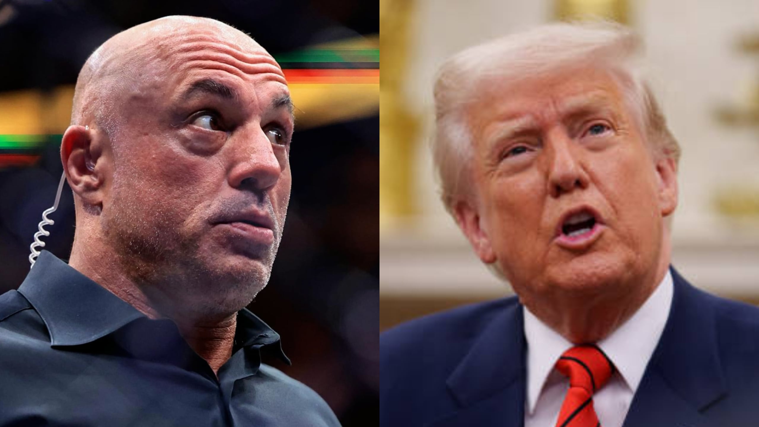 Joe Rogan s'élève contre le meurtre de Nicole Good