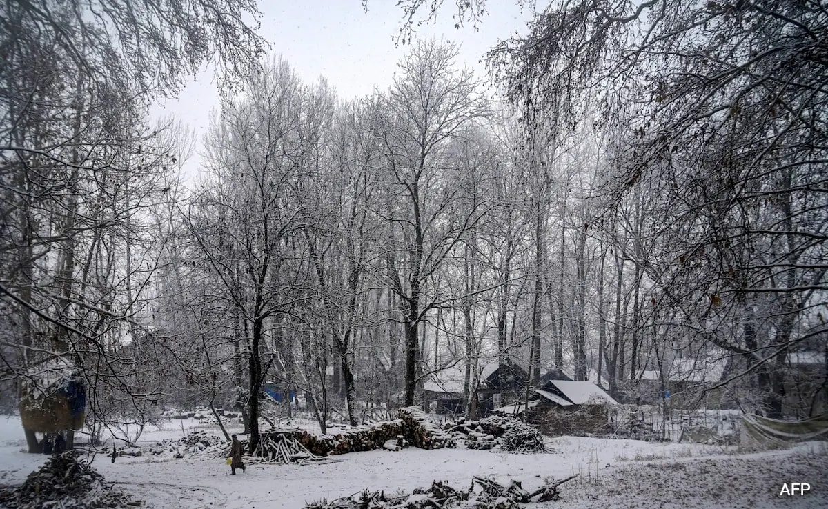 Jammu colder than snow-clad Gulmarg; Srinagar shivers at -5.2 degrees ...