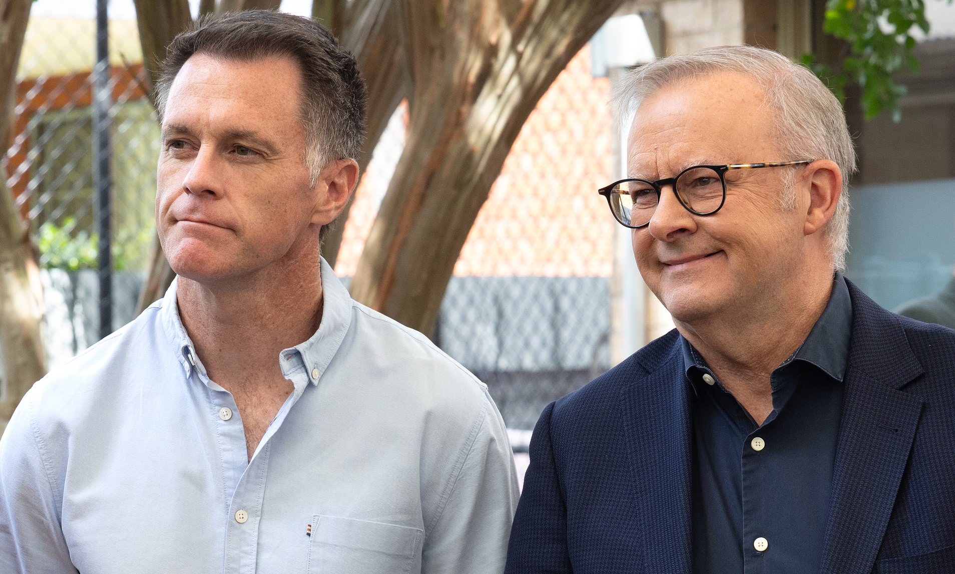 Teen is arrested after threatening to kill Albo - in second death ...