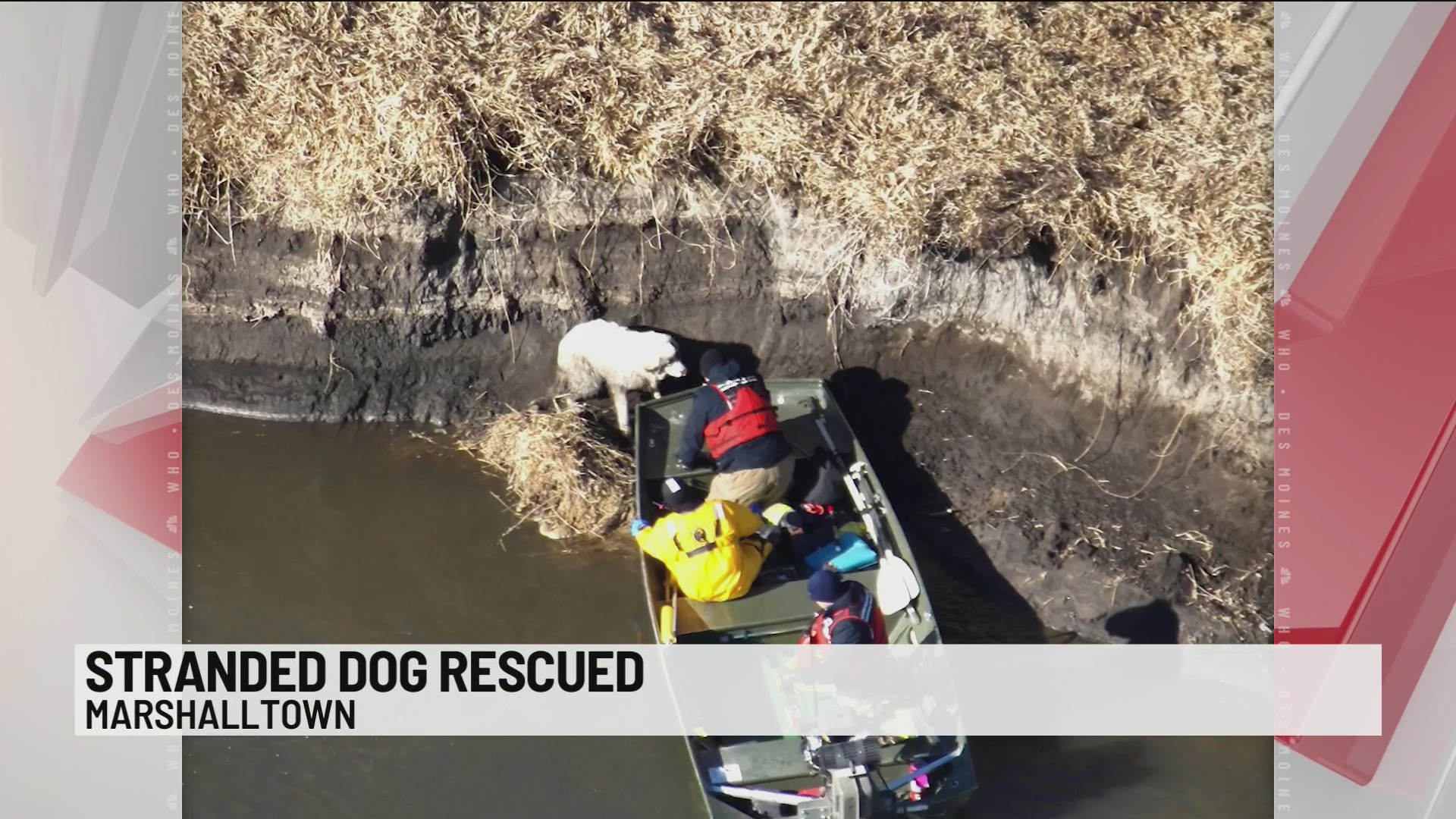 Stranded dog rescued from Iowa River outside Marshalltown