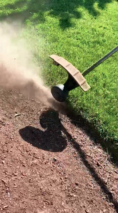 Dusty edging - clean flower beds with sharp lawn lines