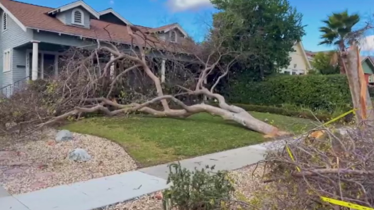 Steps to lower your risk and increase chances of insurance coverage for ...