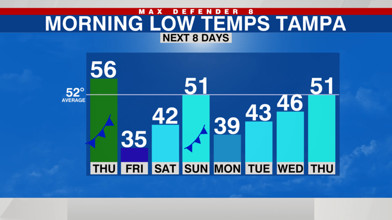 'Coldest air we've seen in years': Shelters open in Tampa Bay as ...