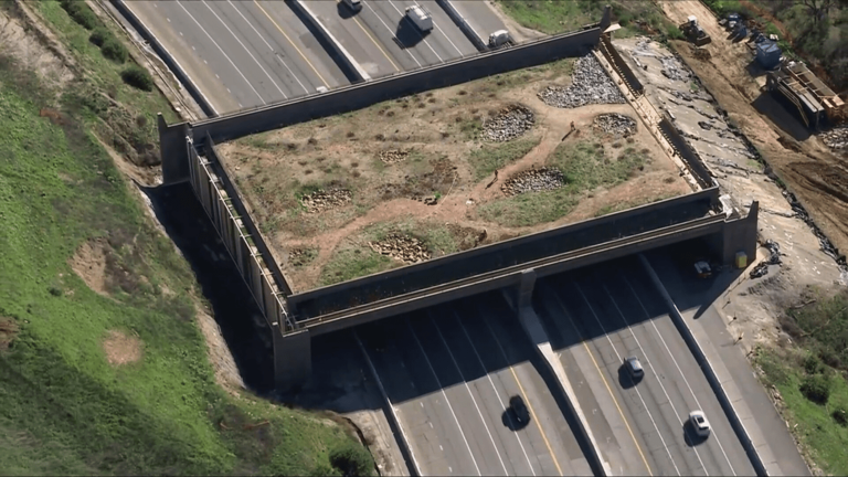 World’s largest wildlife crossing in California delayed, cost climbs