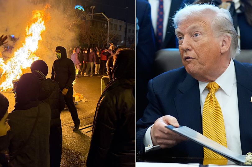 Fox viewers mock Trump's milk law signing as 'udder waste of time' amid ...