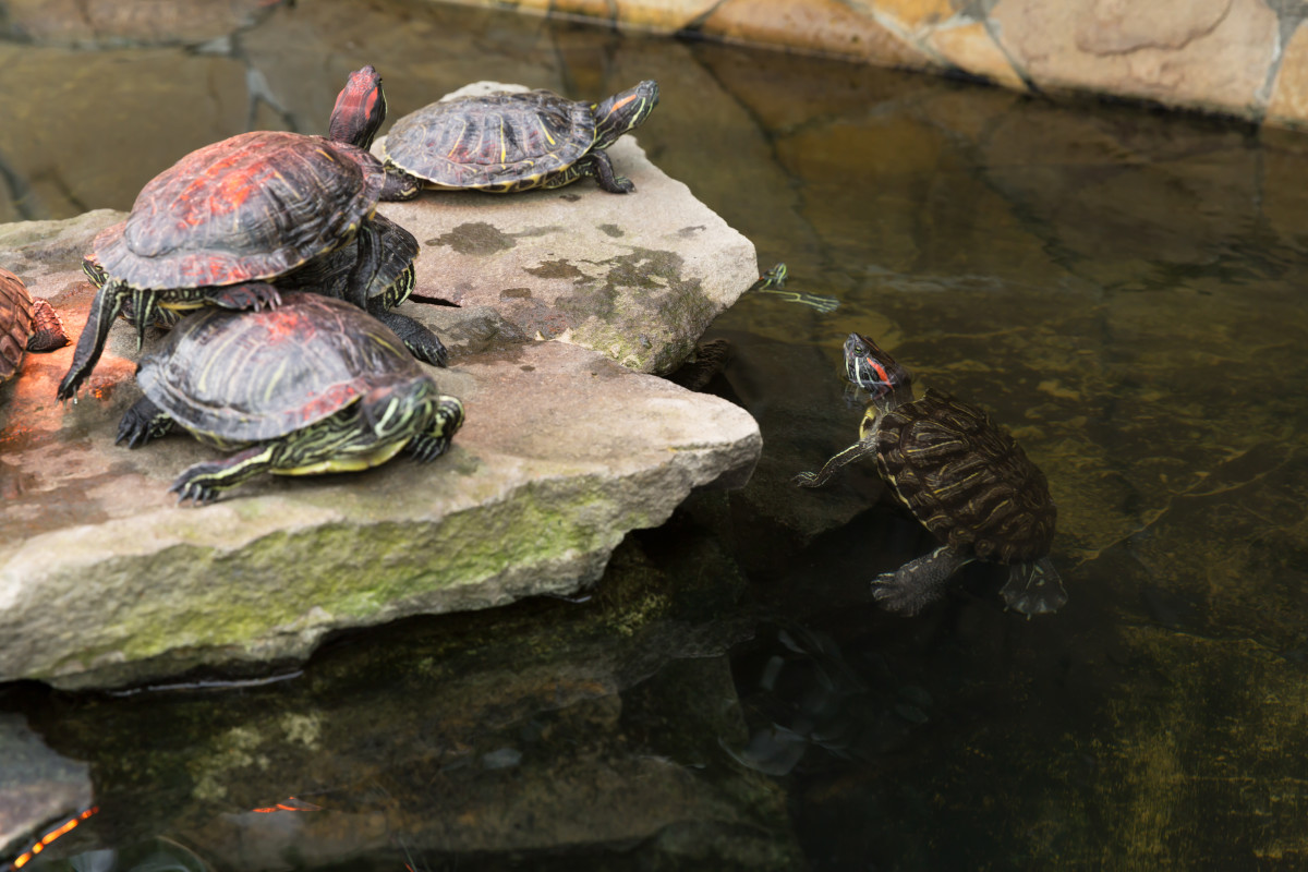 Airport authorities uncover passengers' plot to smuggle over 5,000 ...