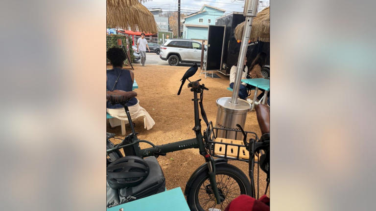 Family searching for answers after victim found seriously injured in ...