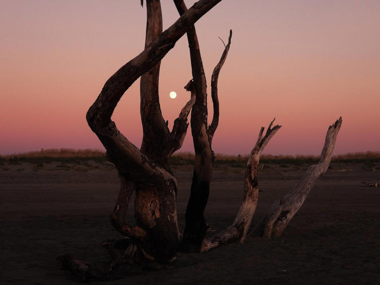 Oregon, Washington, California set December heat records