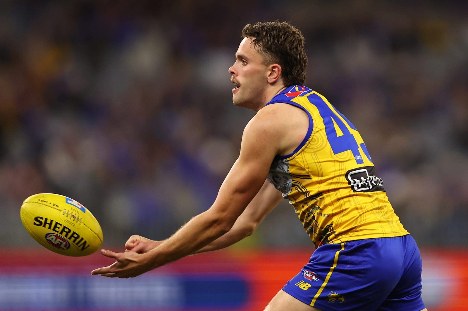 Second-year West Coast flanker reveals new role