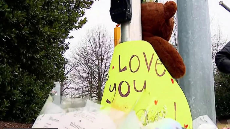 'She's all smiles': Ashburn community remembers student killed in crash
