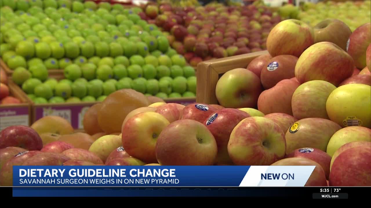 HHS flips food pyramid; Savannah experts say one size doesn’t fit all