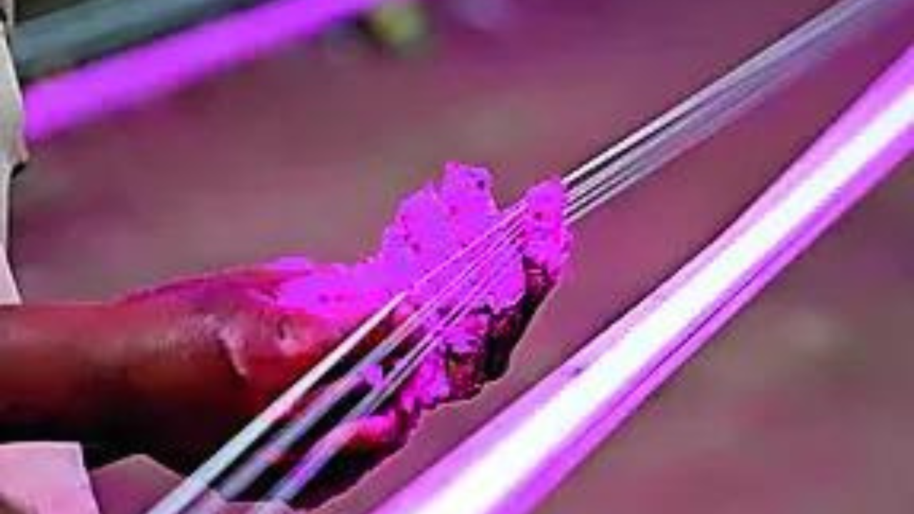 Doc among 3 killed by Chinese manja on Makar Sankranti