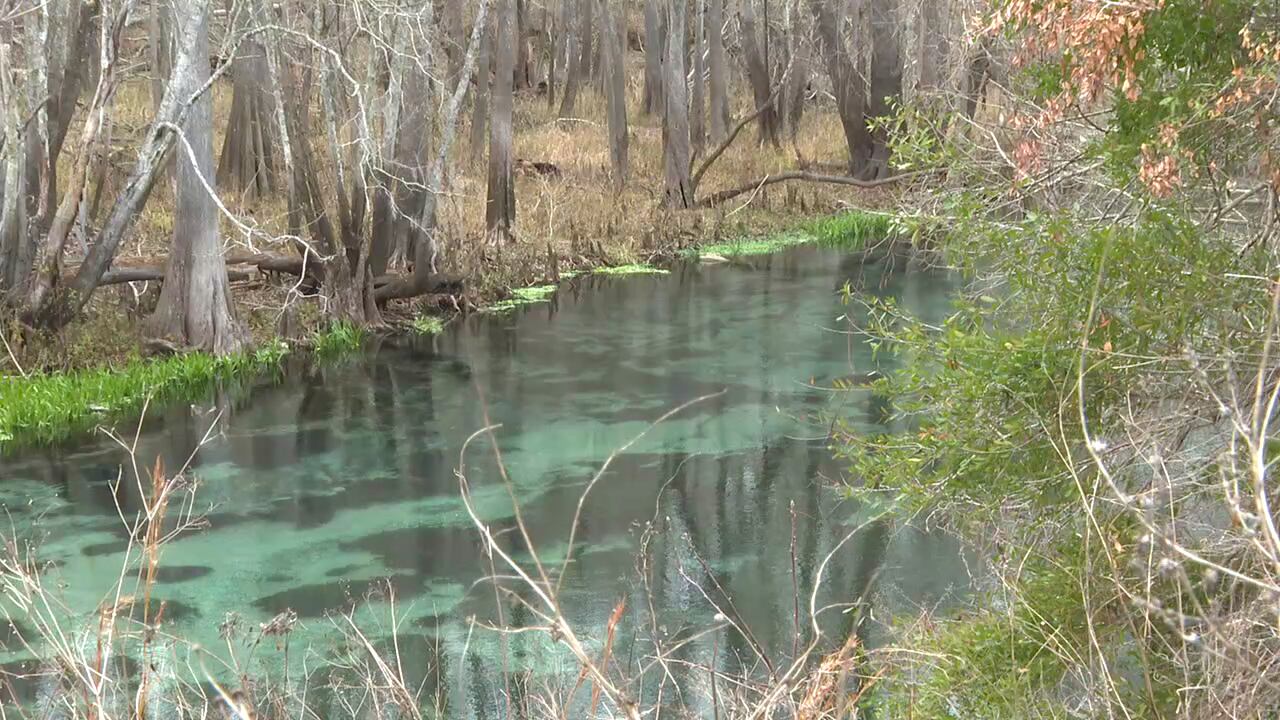 Water management officials ask North Central Florida residents to ...