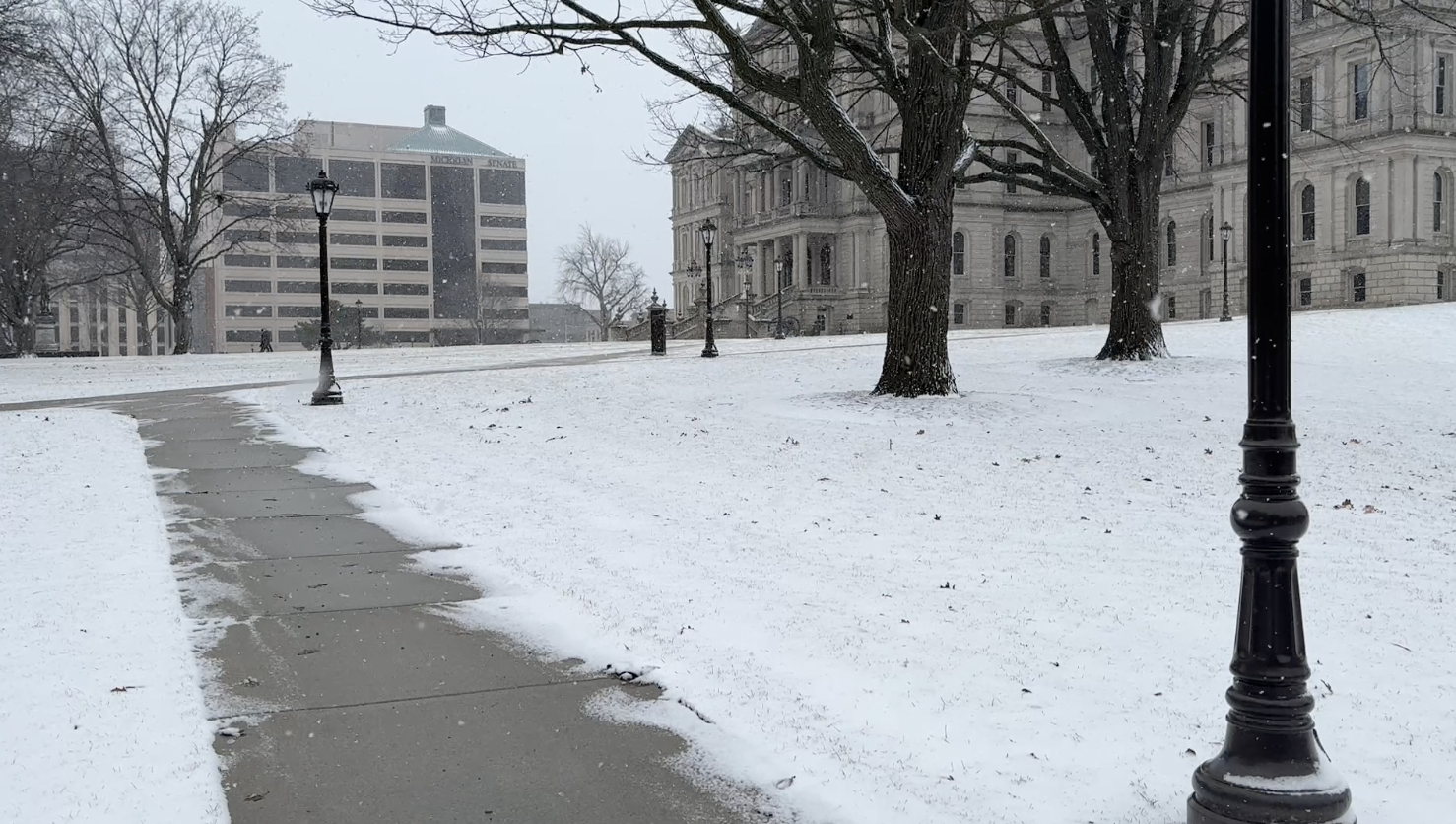 ichigan legislature outlines 2026 priorities focusing on affordability ...