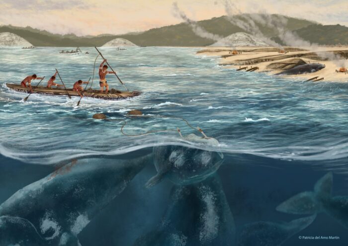 World's oldest harpoons show whaling much older than we thought