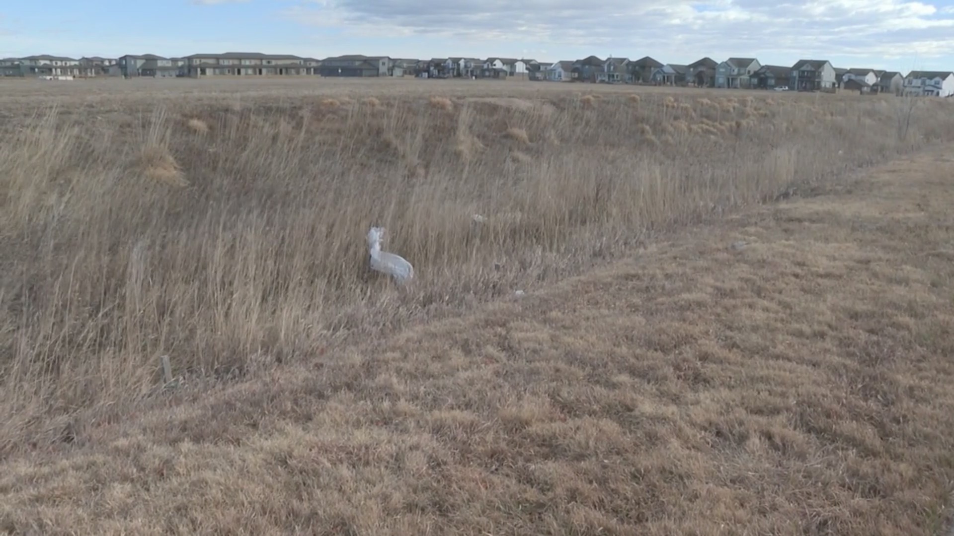 Xcel Energy considering power shut downs amid windy, dry weather