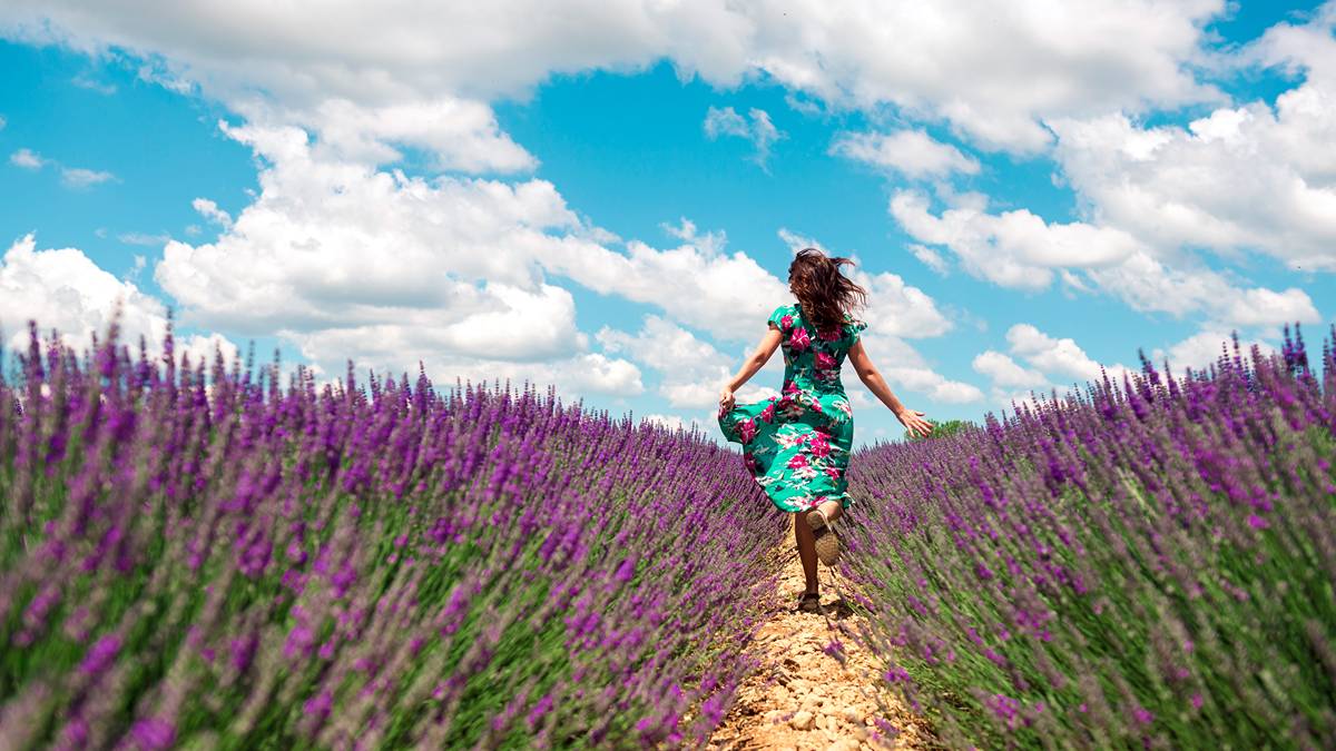 Terrain Minerals back on gold-drilling trail at Lightning and Wildflower