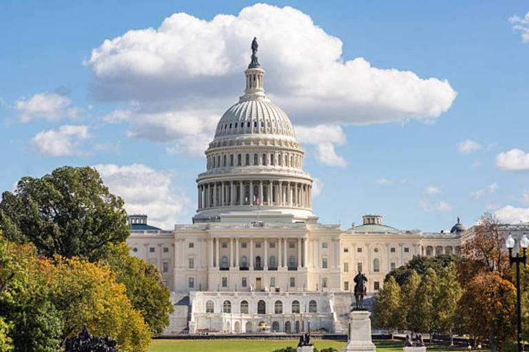 Trump issues proclamation imposing 25% tariff on Nvidia H200, AMD ...