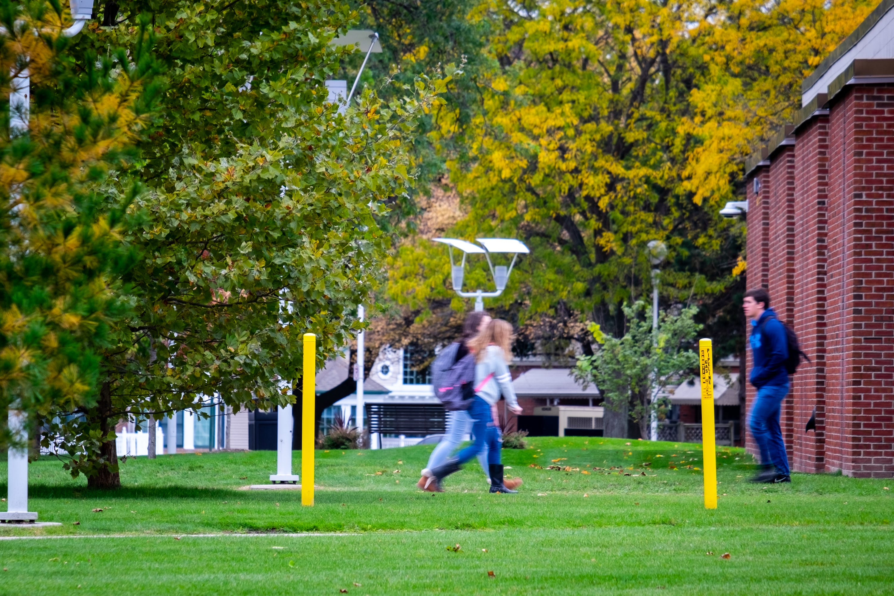 Still time to register for SC4 winter classes and Fast-Path courses