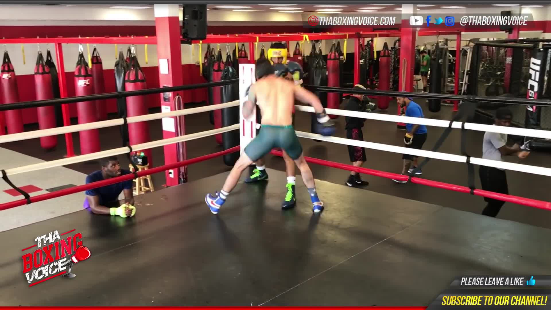 Sparring: Steven Ortiz vs. Anthony Cruz
