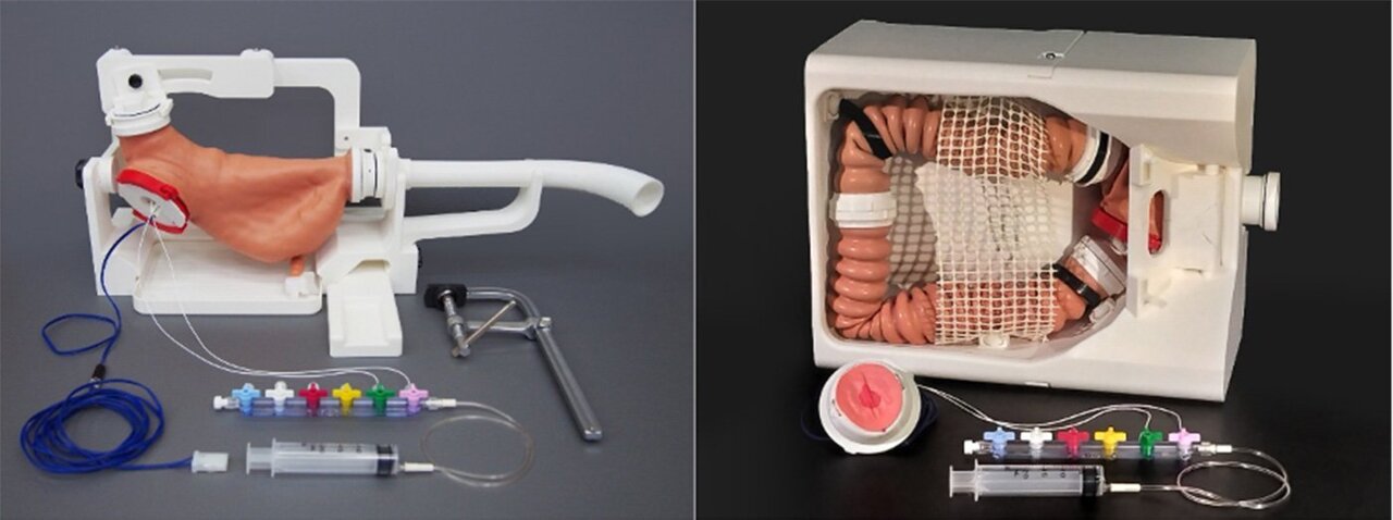 New simulator mimics real tissue for safer endoscopic cancer surgery ...