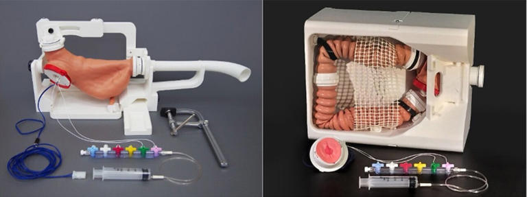 New simulator mimics real tissue for safer endoscopic cancer surgery ...