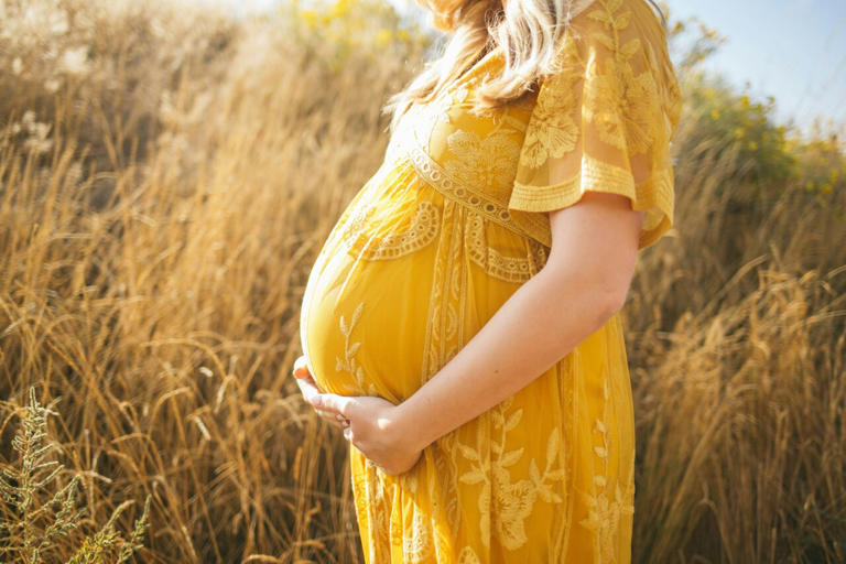 Environmental toxins and stress during pregnancy affect children's ...