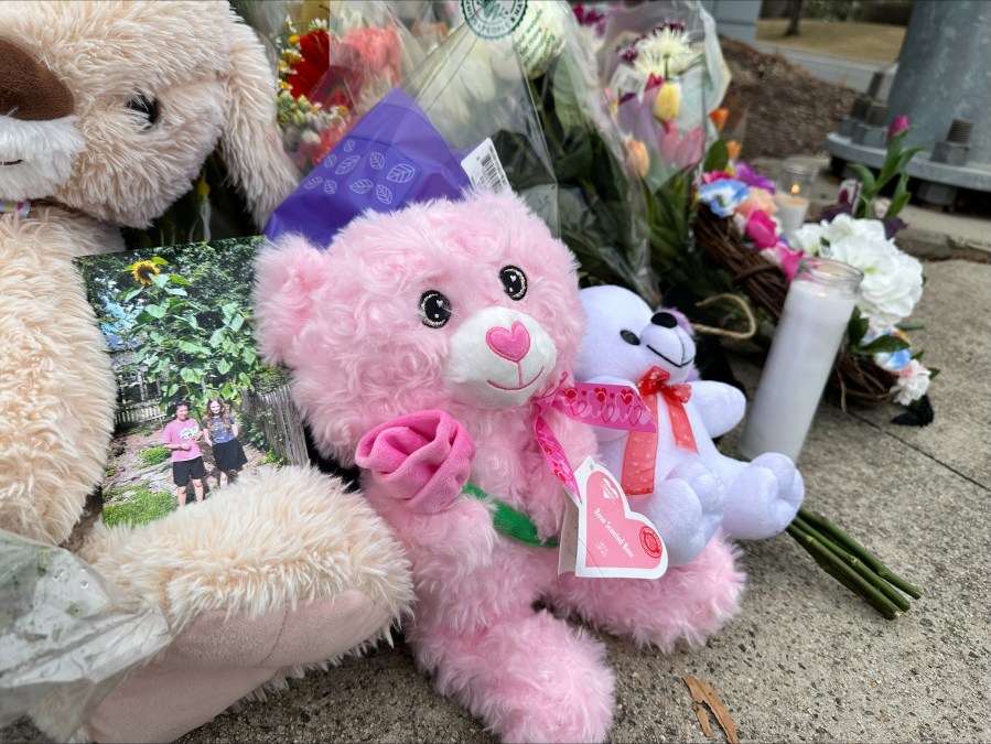 Student hit, killed by car near Stone Bridge High School sparks traffic ...